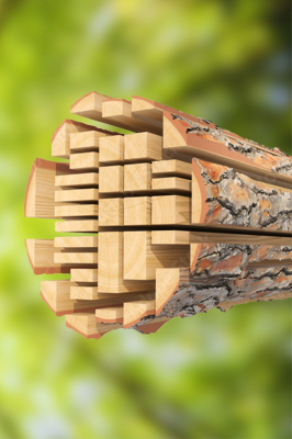 Giới thiệu về Tavico Group | Hội chợ 365